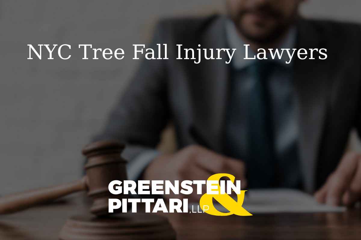 NYC Tree Fall Injury Lawyers | Greenstein & Pittari, LLP